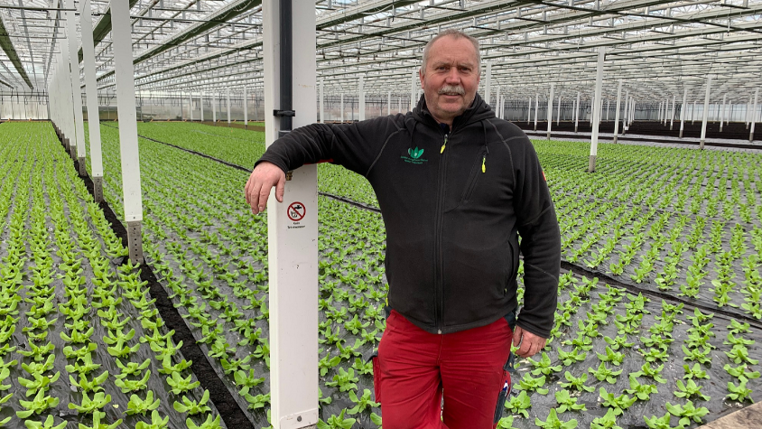 Frapp | Jordan-Virus im Seeland