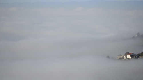 Frapp | Le brouillard fait-il encore partie de l'ADN de la Broye?