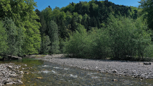 Frapp | Au fil de la Gérine