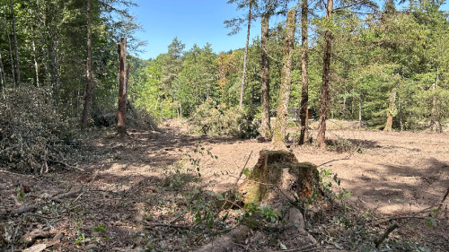 Frapp | Die Sense erhält in Flamatt mehr Platz