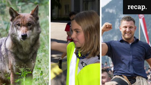 Frapp | Frapp Recap #52: Was ist diese Woche passiert?