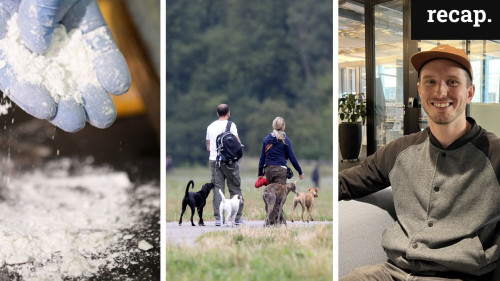 Frapp | Frapp Recap #54: Was ist diese Woche passiert?