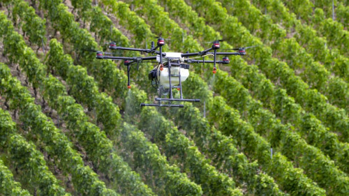 Frapp | Der Freiburger Phytoplan auf Erfolgskurs