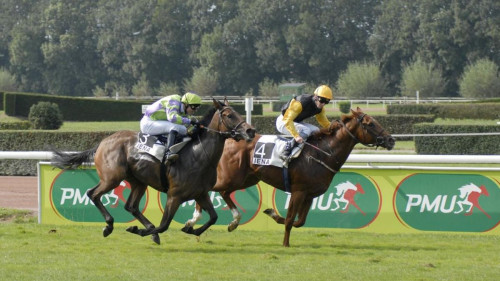 Frapp | "Cheval Passion": IENA feiert 25 Jahre mit Pferdefestival